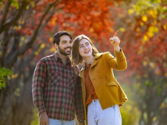 The 5 Best Fall Foliage Maps to Track Peak Color (2025) | Travel Hacks ...