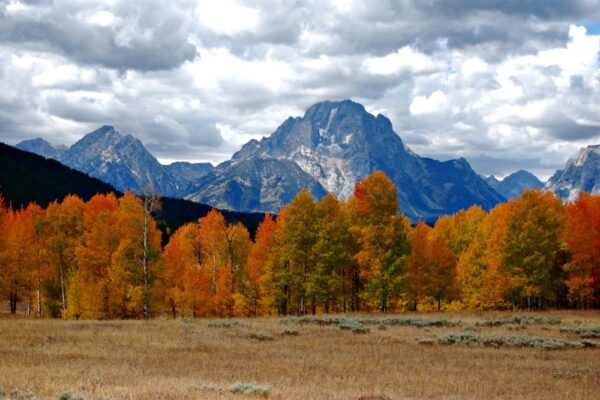 12 States (NOT In New England) With Unique Places To See Colorful Fall ...